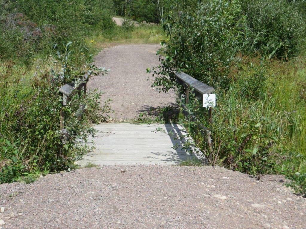 Jessica Lake Lodge Gallery | Jessica Lake Lodge