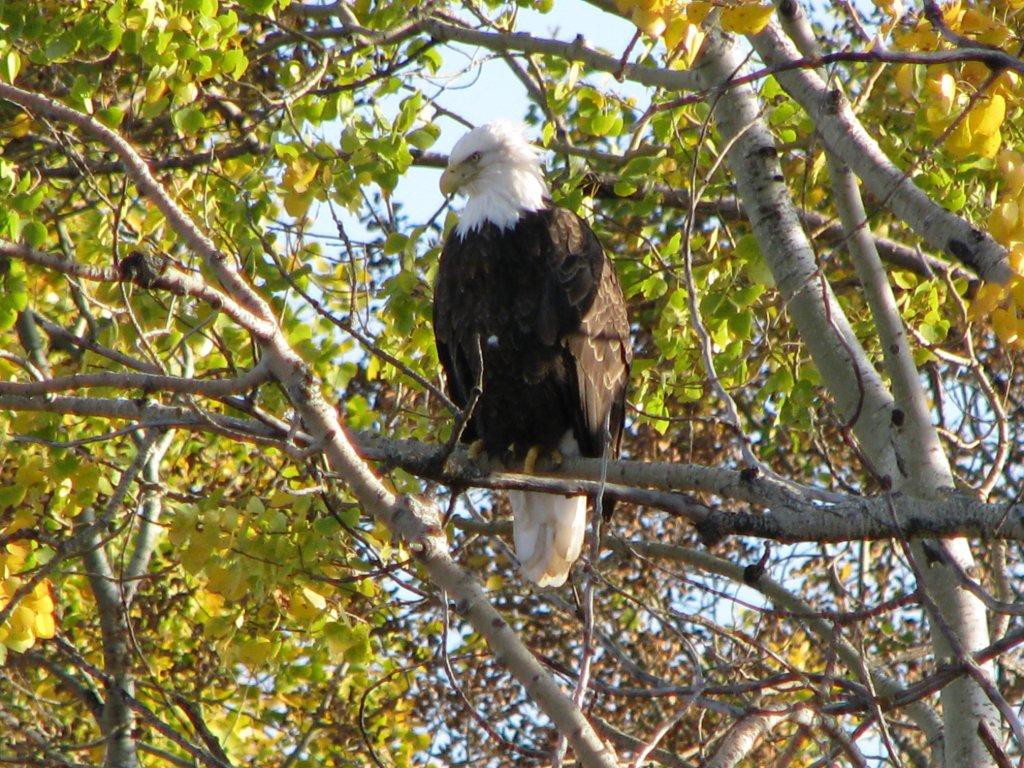 Jessica Lake Lodge Gallery | Jessica Lake Lodge