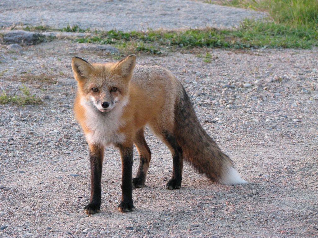 Jessica Lake Lodge Gallery | Jessica Lake Lodge