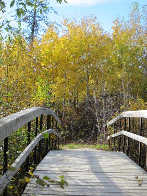 Jessica Lake Lodge Gallery | Jessica Lake Lodge